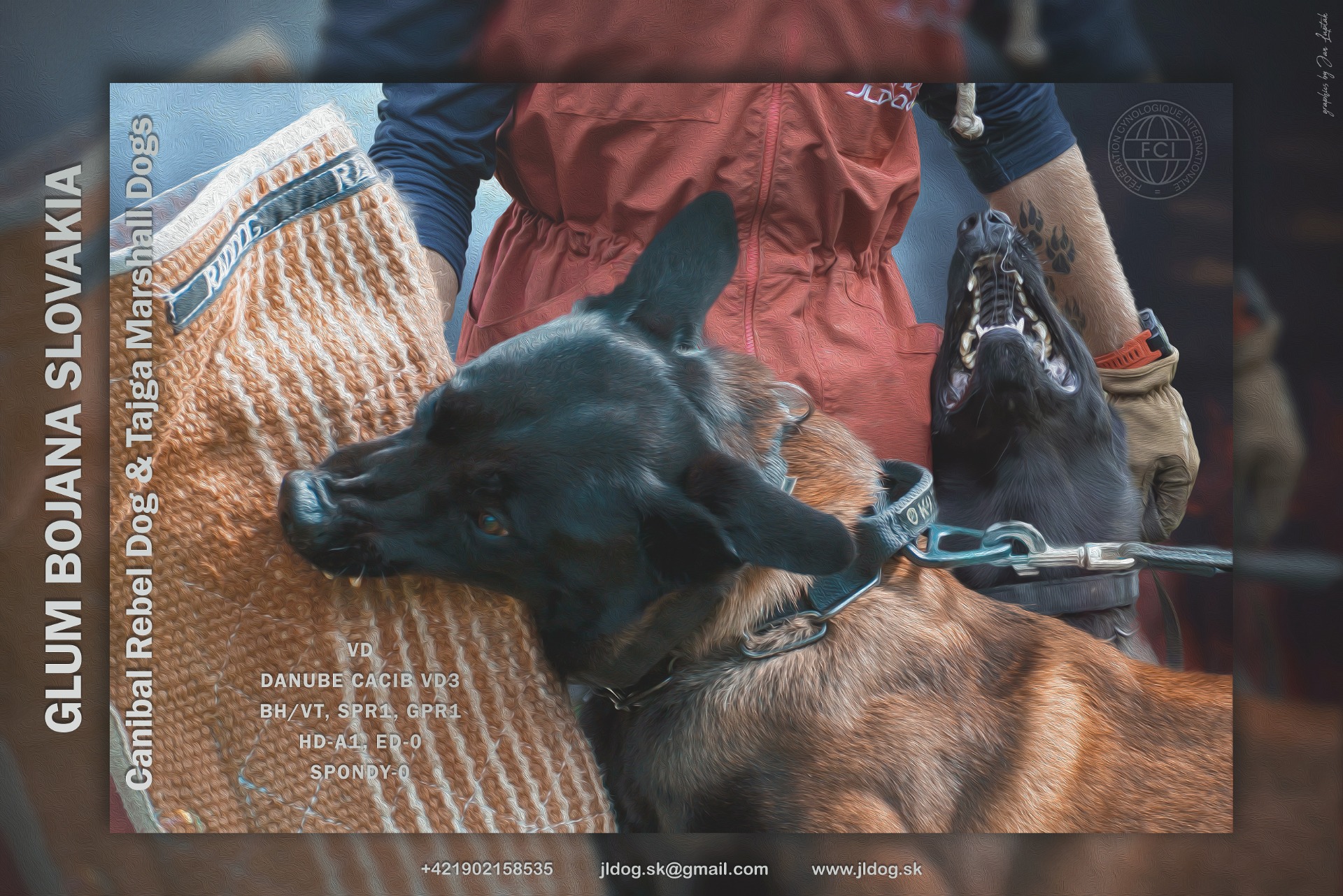 Glum Bojana Slovakia :: JLDog